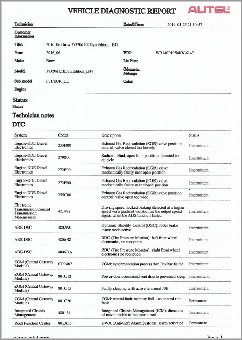 Diagnostic_report_example – Racesolution